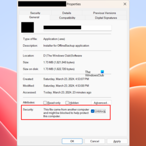 This installation package could not be opened message in Windows 11
