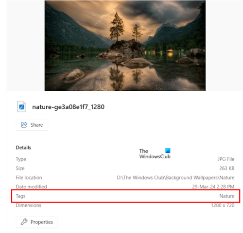 How to TAG files in Windows and to make File Search efficient