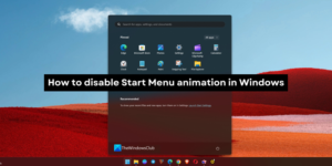 How to disable Start Menu animation in Windows 11/10