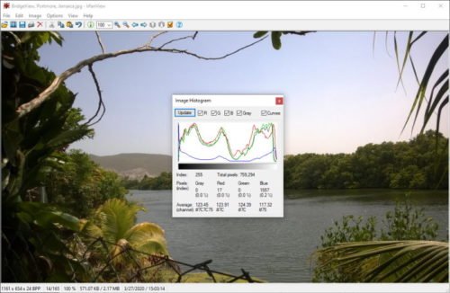 IrfanView Image Viewer and Editor software for Windows 11/10