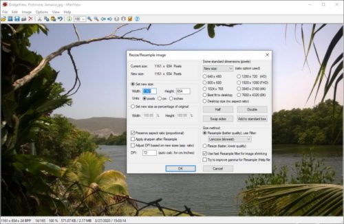 IrfanView Image Viewer and Editor software for Windows 11/10