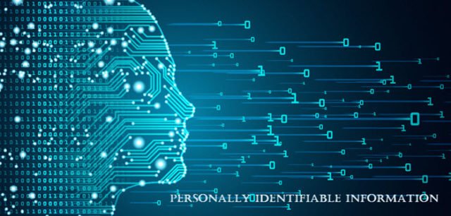 What is Personally Identifiable Information (PII) & how to protect it ...