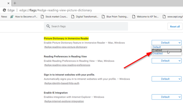 Enable Picture Dictionary in Immersive Reader in Edge browser