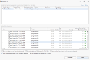 Echosync: Free Data Backup and Folder Synchronization software