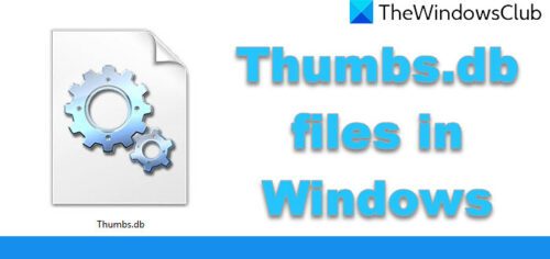How to change Image Thumbnail Size in Windows 11/10