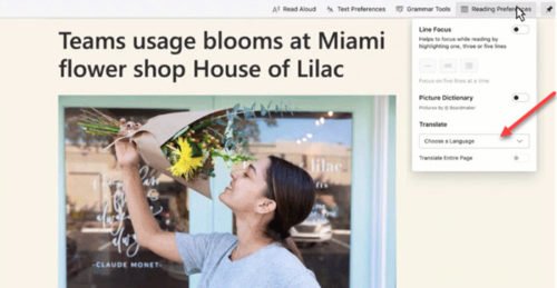 Picture Dictionary, Immersive Reader Translation, Enhancements in Edge