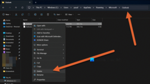 Fix Not Implemented error in Outlook on Windows 11