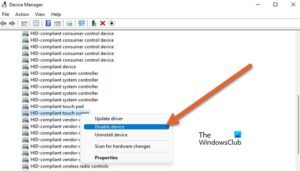 How to disable TouchScreen in Windows 11/10
