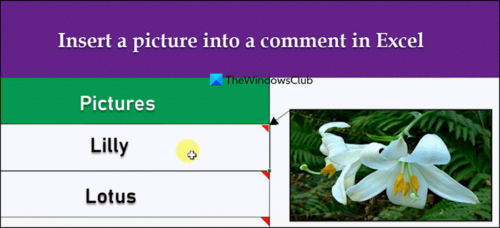 How to insert a Picture into a Comment in Excel
