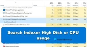 Fix Search Indexer High Disk or CPU usage in Windows 11