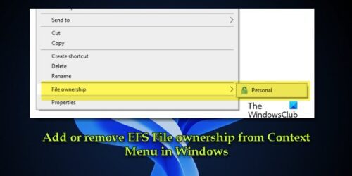 Remove or Add EFS File ownership from Context Menu in Windows 11