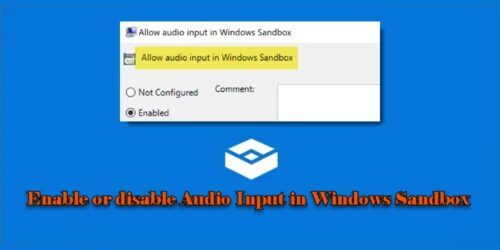 Enable or disable Audio Input in Windows Sandbox in Windows 11