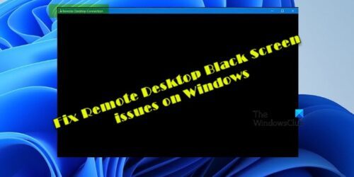 Remote Desktop Black Screen and then disconnects in Windows 11