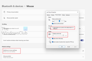 Mouse pointer or cursor disappears or gone missing on Windows 11