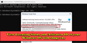 Check Licensing Status and Activation ID of your Windows 11/10 OS