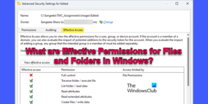 Effective Permissions Tool for Files and Folders in Windows 11/10
