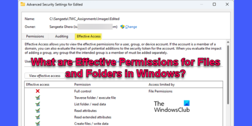 Effective Permissions Tool for Files and Folders in Windows 11/10