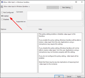 How to enable or disable Video Input in Windows Sandbox 2025