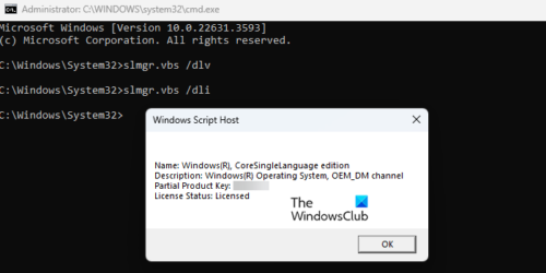 Check Licensing Status and Activation ID of your Windows 11/10 OS