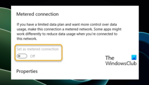 Set as metered connection setting greyed out on Windows 11/10