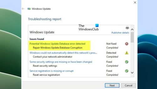 Potential Windows Update Database error detected in Windows 11