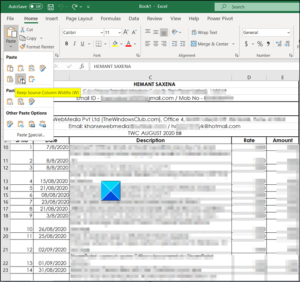 Copy Column Width from source to another spreadsheet in Excel
