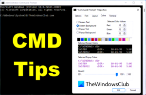 Basic Command Prompt Tips for Windows 11/10