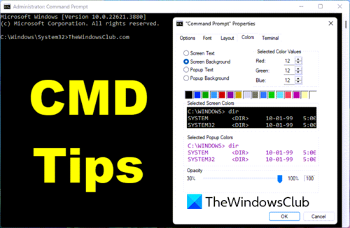 Basic Command Prompt Tips for Windows 11/10