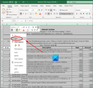 Copy Column Width from source to another spreadsheet in Excel