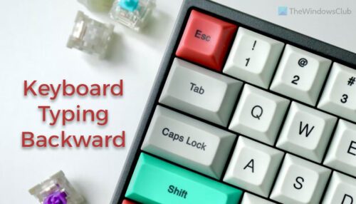 Fix Keyboard typing backward issue in Windows 11/10