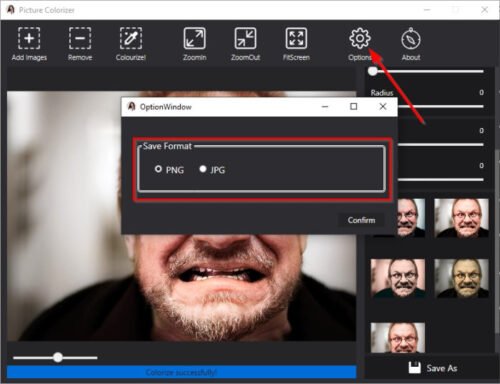 Add color to Black and White Photos with Picture Colorizer for PC