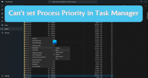 Can't set Process Priority in Task Manager of Windows 11/10