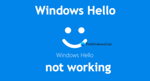Windows Hello not working in Windows 11/10