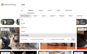 Bing Search Tips and Tricks to improve Search Experience