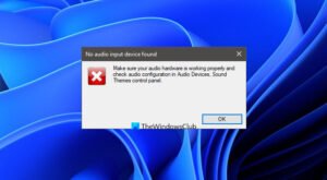 No audio input device found on Windows 11/10