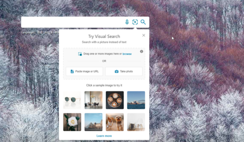 How to find Similar Images Online using Reverse Image Search