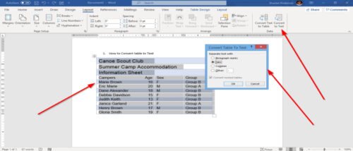 How to convert Table to Text and Text to Table in Word