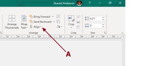 Add, Move and Modify Image or Picture in Publisher