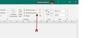 Add, Move and Modify Image or Picture in Publisher