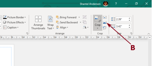 Add, Move and Modify Image or Picture in Publisher