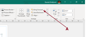Add, Move and Modify Image or Picture in Publisher