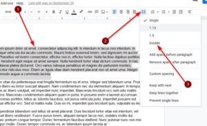 How to double space in Google Docs