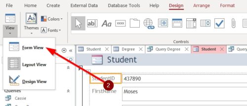 How to create a Form in Access