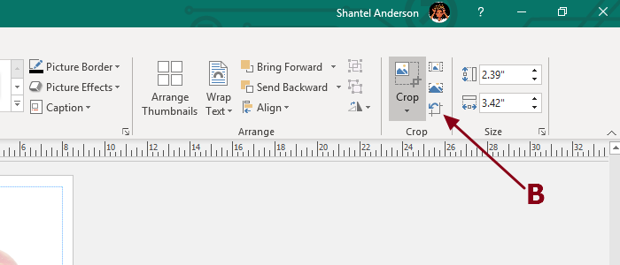 Add, Move and Modify Image or Picture in Publisher