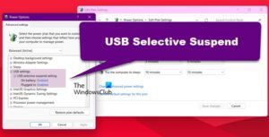 What is USB Selective Suspend? How to enable or disable it?