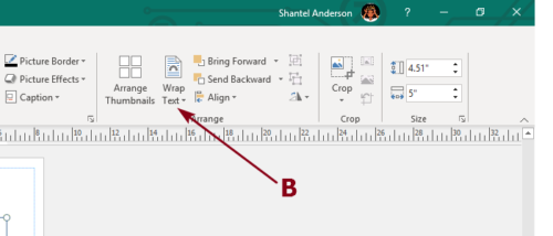 Add, Move and Modify Image or Picture in Publisher