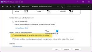 Mouse Pointer or Cursor keeps flickering on Windows 11/10