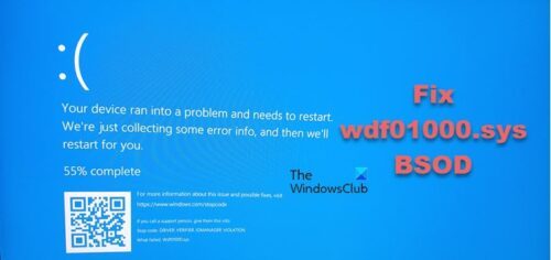 Fix wdf01000.sys BSOD on Windows 11/10