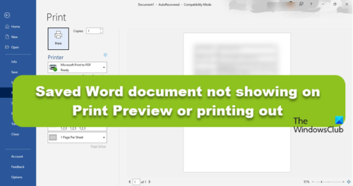 Saved Word document not showing on print preview or printing out