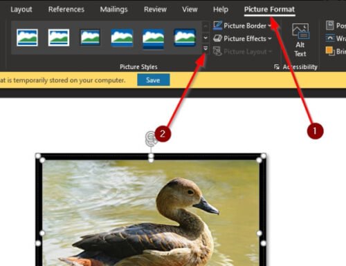 How to put a border around an image using Word
